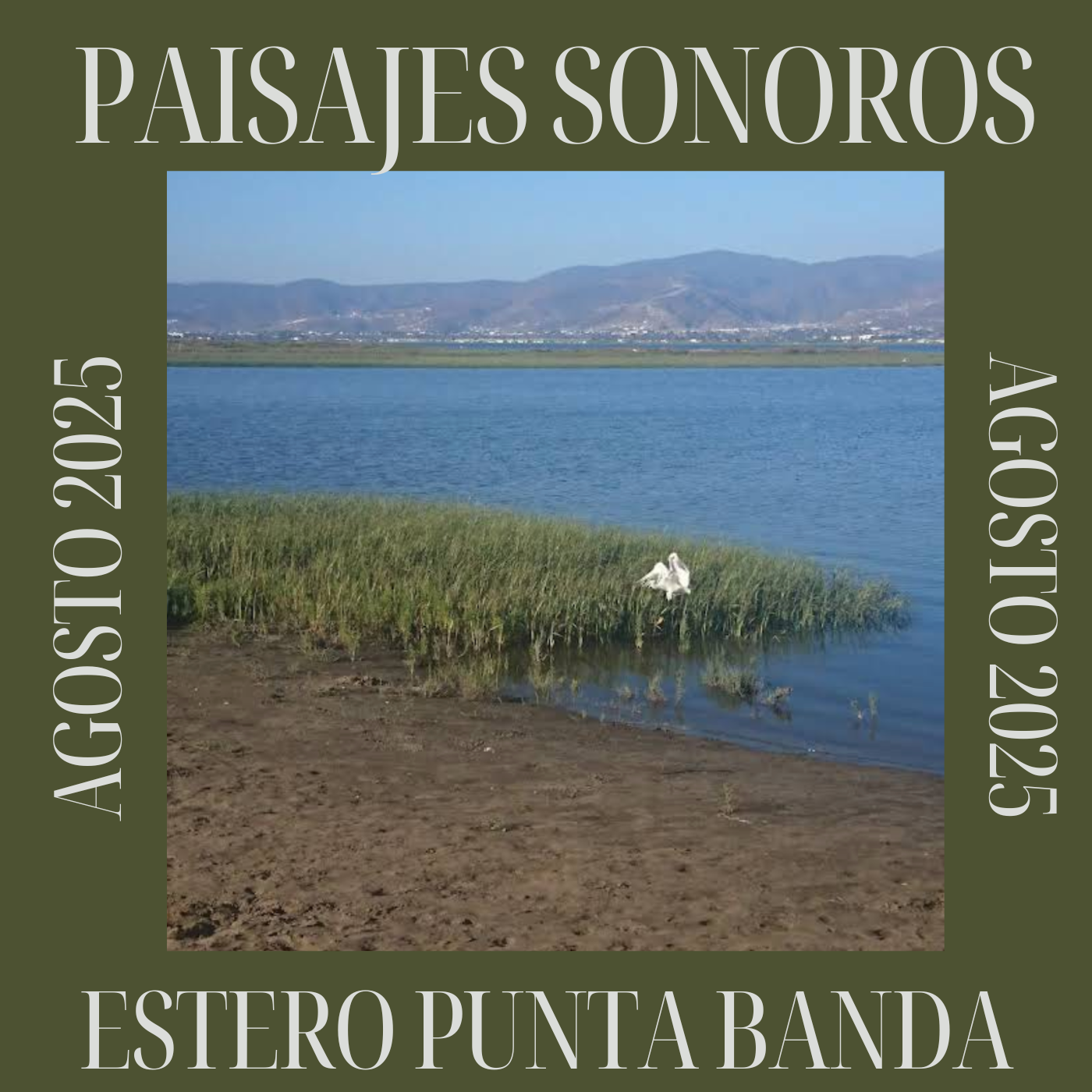 Estero Punta Banda